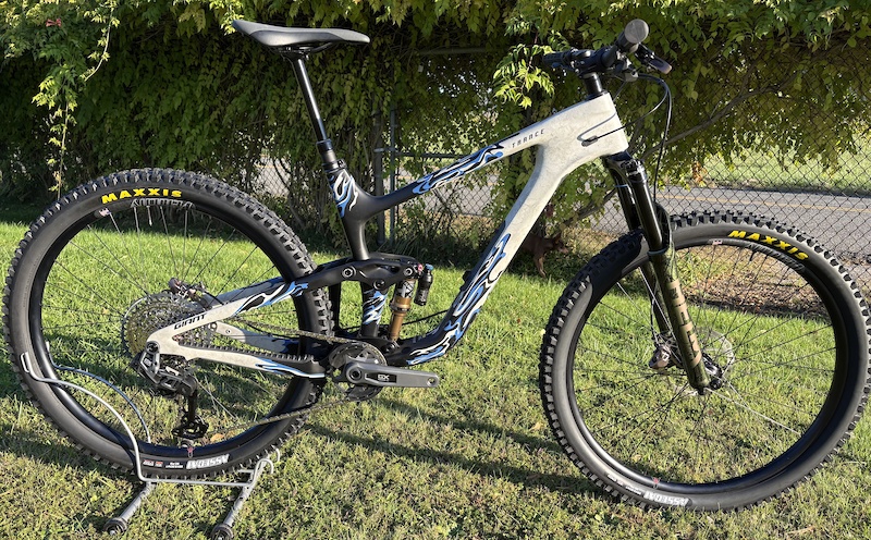 2025 Custom Giant Trance Advanced 29er- Size large For Sale