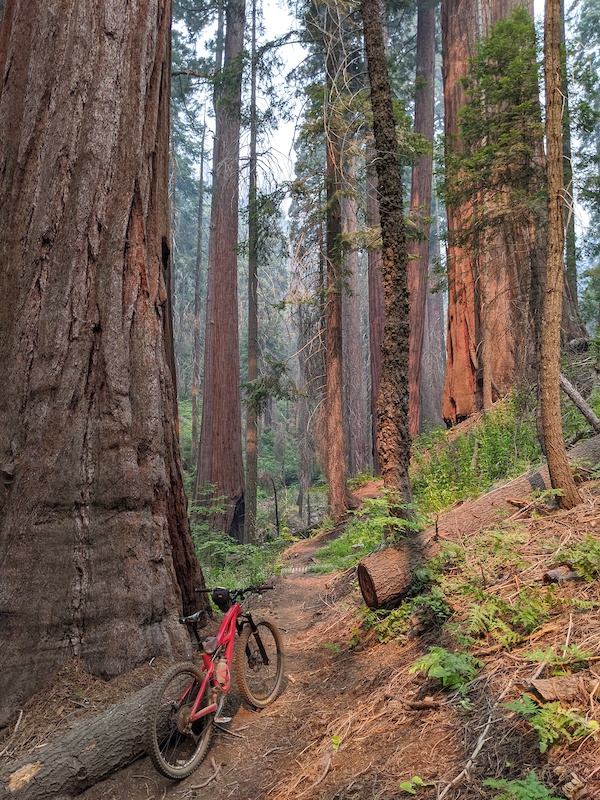 at Moses Gulch Trail in Porterville, California, United States - photo ...