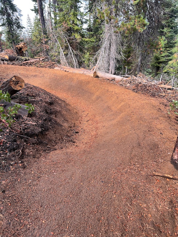 Ponderosa (Pondo) Mountain Biking Trail - Bend, Oregon