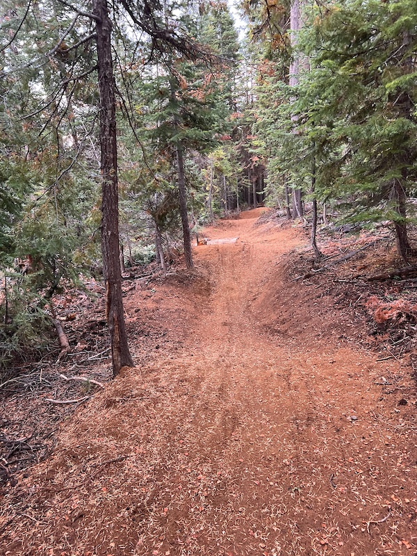 Ponderosa (Pondo) Mountain Biking Trail - Bend, Oregon