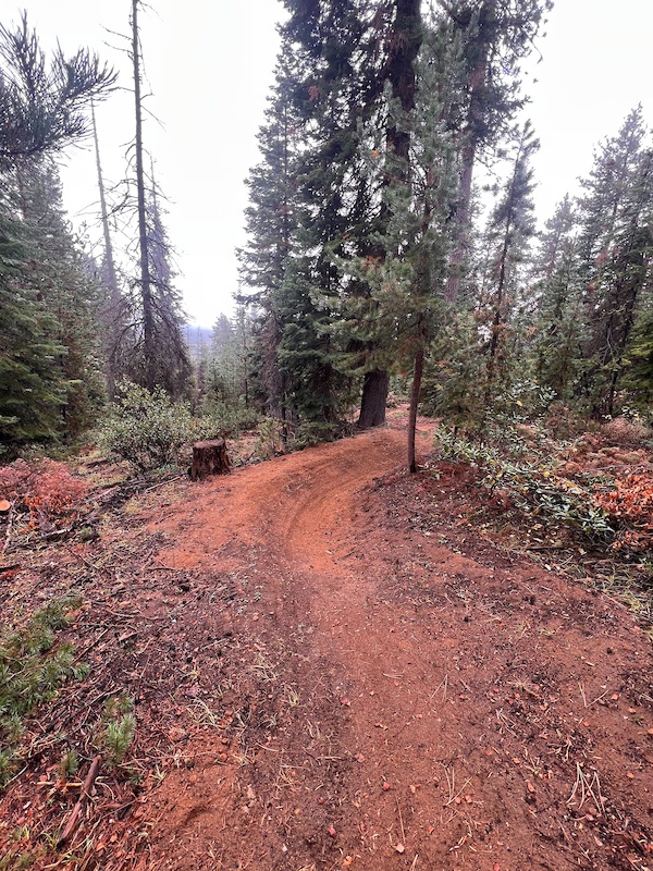 Ponderosa (Pondo) Mountain Biking Trail - Bend, Oregon