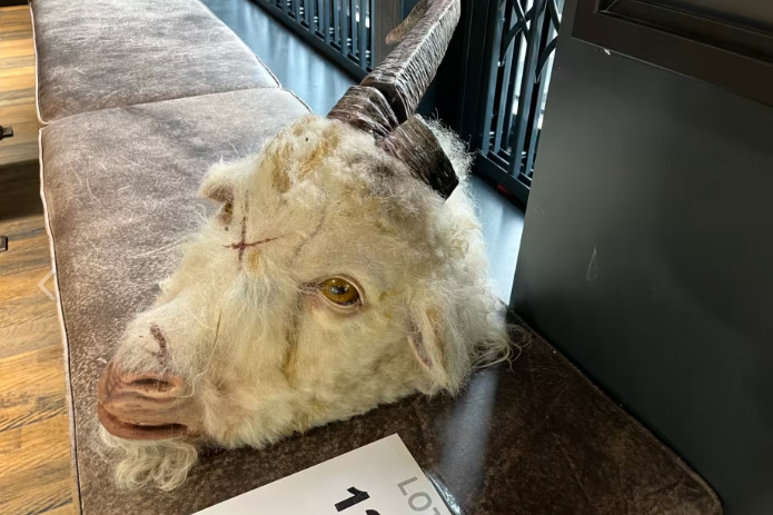 YT's UK Assets Are Up for Auction - Including Three Goat Heads - Pinkbike