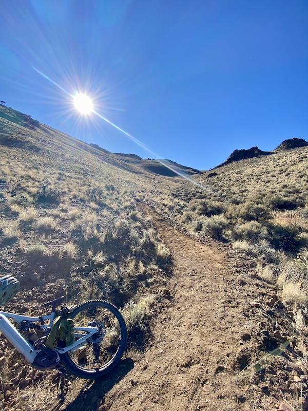 Upper Buzztail Mountain Biking Trail - Challis, Idaho