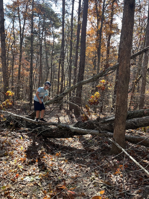 Chalkeye Loop Multi Trail - Durham, Georgia | Trailforks