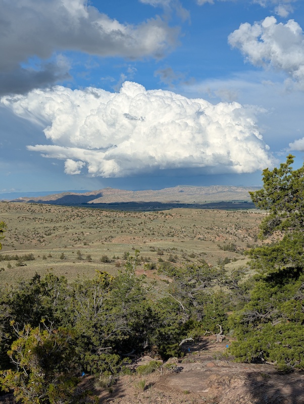 The Shank Multi Trail - Outlaw Trails, Cody, Wyoming