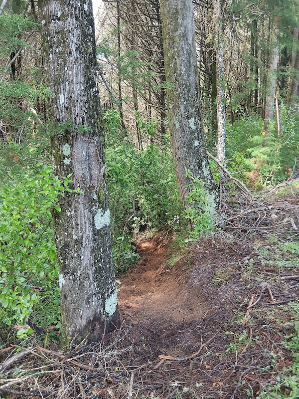 A Dirty Wench Mountain Biking Trail - Whangarei