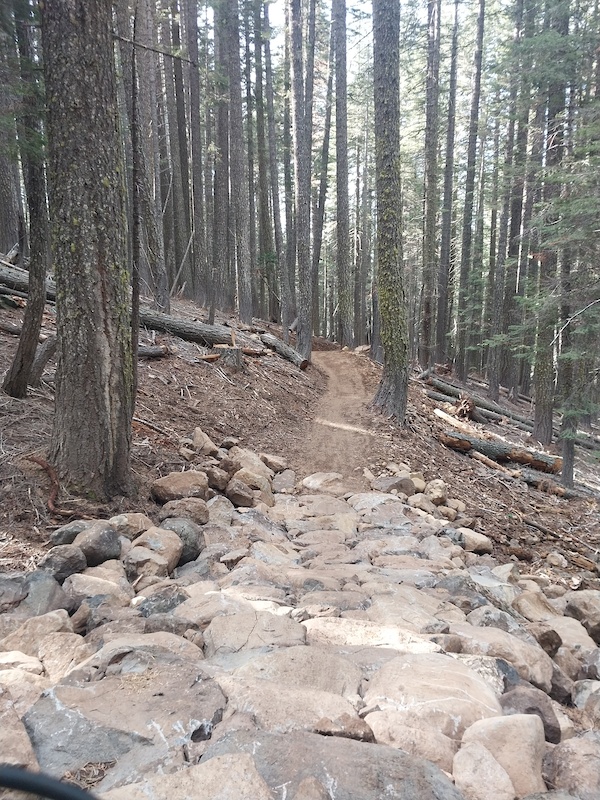 Colby Mountain Recreation Area, Jonesville Mountain Biking Trails ...