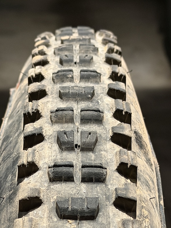 2024 Maxxis DHR 29 2.4 maxxterra double down For Sale