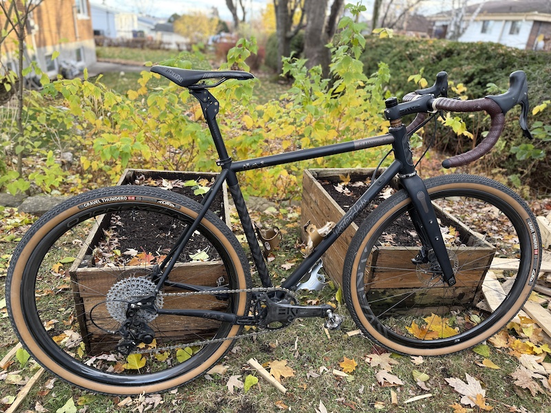 2024 Rodeo Labs Flaanimal 5.0 steel/carbon 56 cm For Sale
