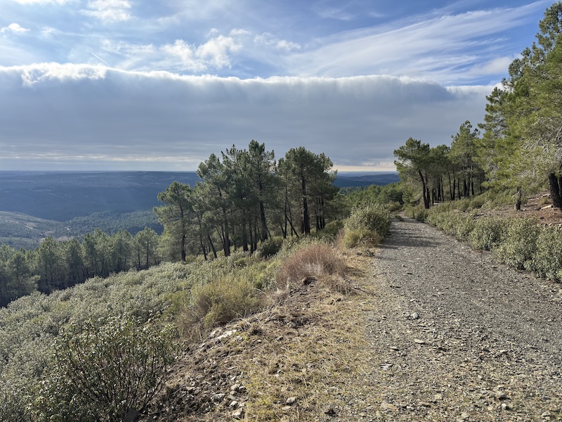 Los Torneros Multi Trail - tamajon | Trailforks