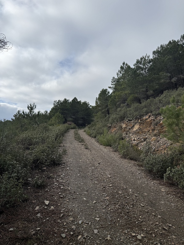 Los Torneros Multi Trail - tamajon | Trailforks