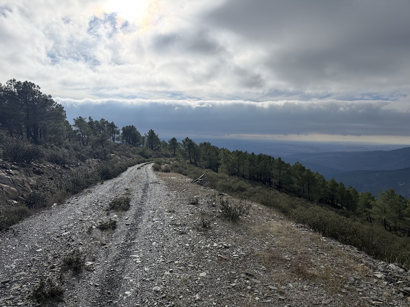 Los Torneros Multi Trail - tamajon | Trailforks