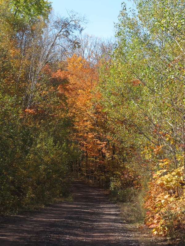 NCT - Powers Vista Trail Hiking Trail - - Michigan