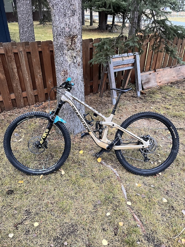 2021 Transition Sentinel For Sale