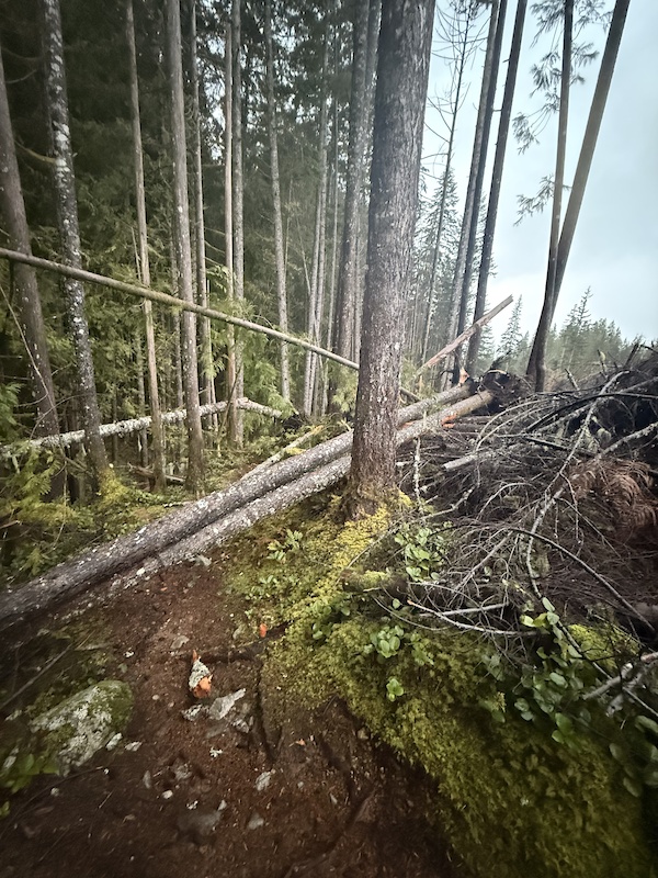 galactic 25km Trail Running Route | Trailforks