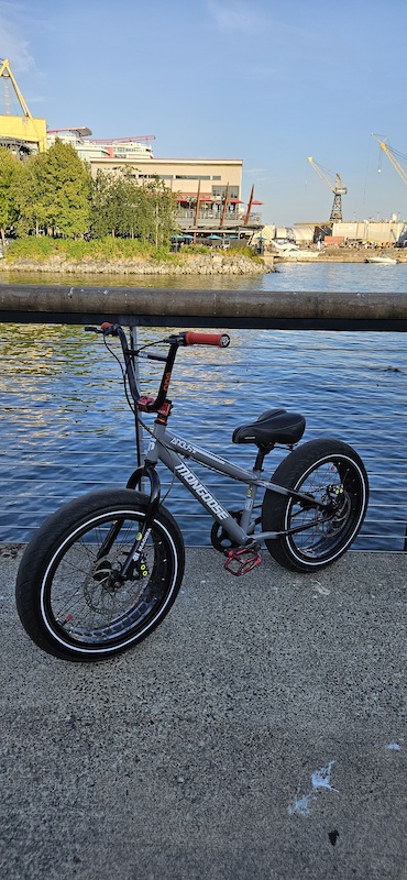 2020 Mongoose Argus ST20 Modded BMX For Sale