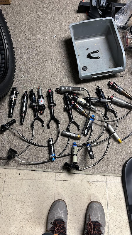 lots of specialized shocks brain and no brain For Sale