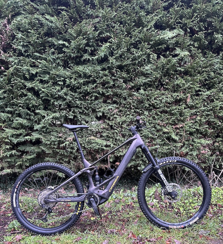 2024 Orbea Wild For Sale