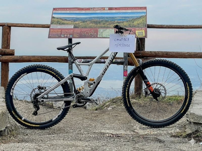 2025 Specialized Demo SRAM GX DH For Sale