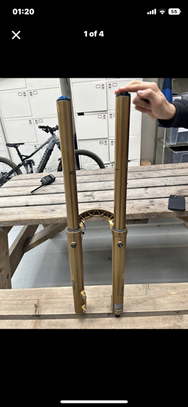2025 Fox 40 podium gold For Sale