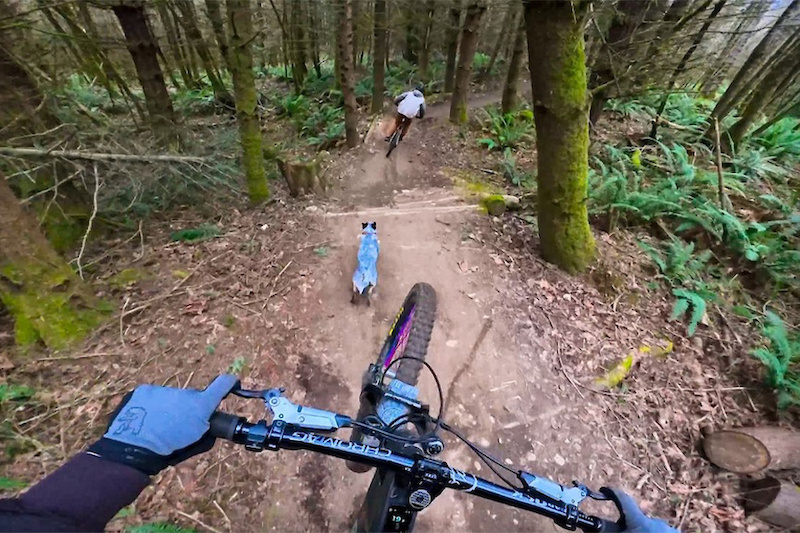 Video: Reece Wallace Flies To Bellingham To Ride Their Best Public ...