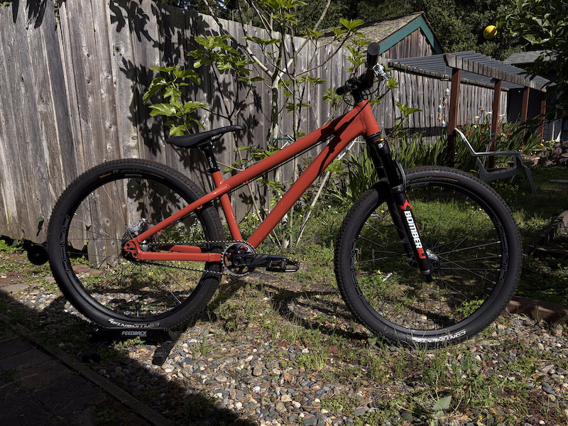Santa Cruz Jackal For Sale