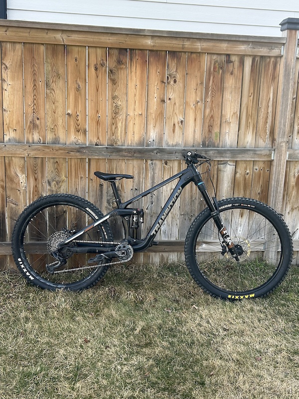 2023 Small Transition Scout For Sale