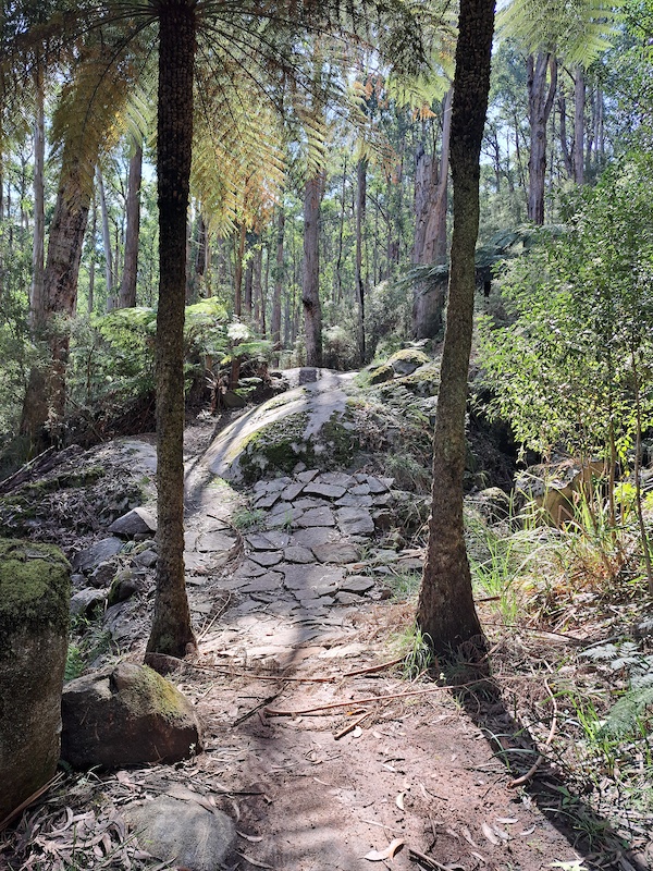 Yankee Jim Mountain Biking Trail - Warburton