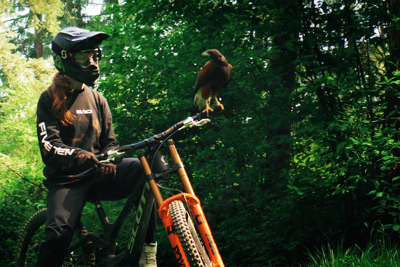 Must Watch: Vaea Verbeeck’s Surreal New Cinematic Passion Project in ...