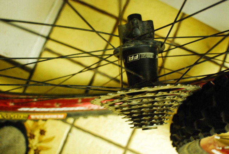 Red Anodized Atomlab Pimp Rims laced to DT Swiss HUGI Freeri For Sale