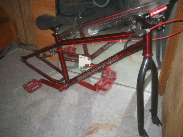 Nemesis Project 24" For Sale