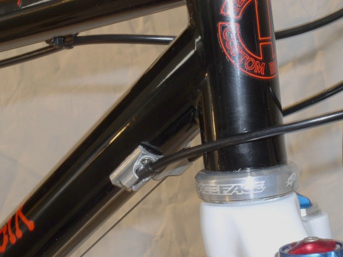 Ted Wojcik 29er DEMO For Sale