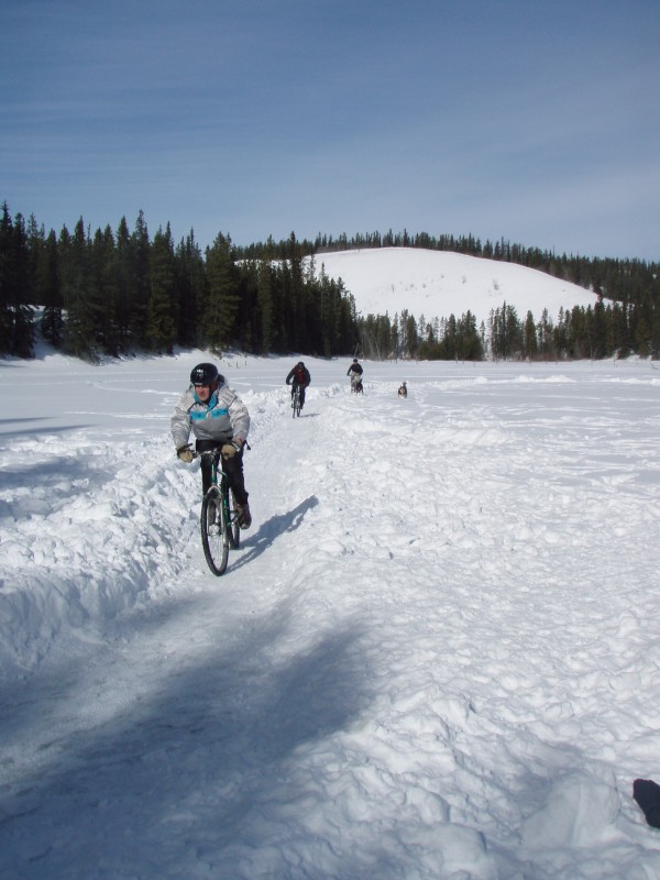 Ice Lake Trail Mountain Biking Trail - Whitehorse, Yukon