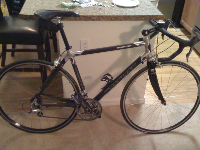 2006 Titus Modena Custom Built, 56cm For Sale