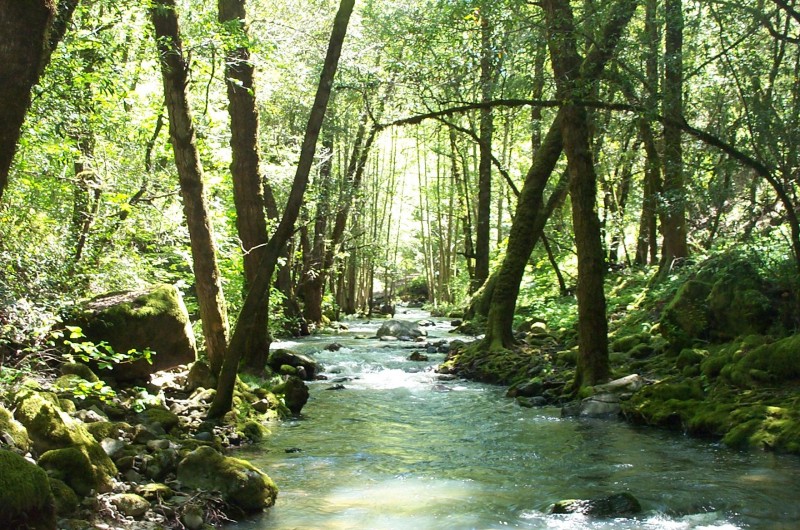 Hood Mountain Regional Park, Santa Rosa Mountain Biking Trails | Trailforks