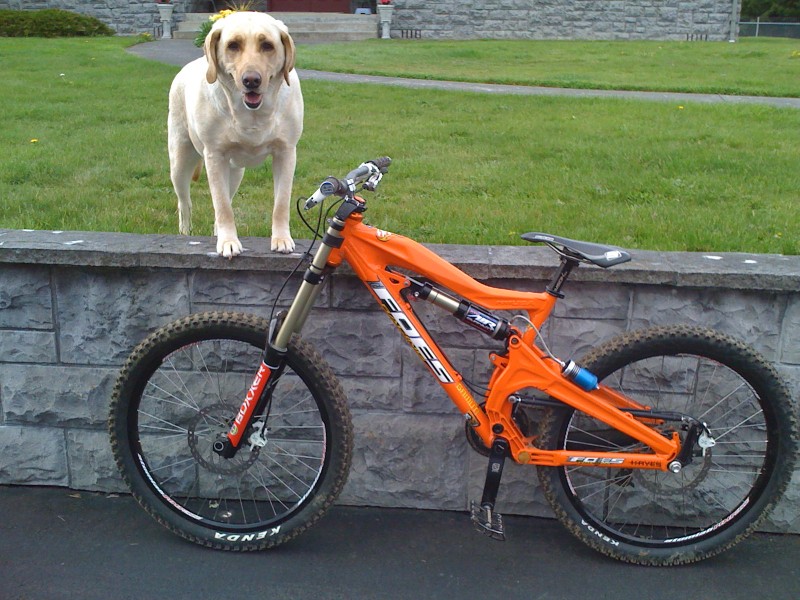 2009 Foes RS7 med For Sale