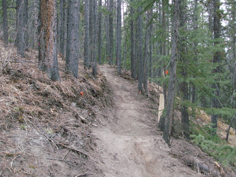 Devonian Drop Mountain Biking Trail - Canmore, Alberta