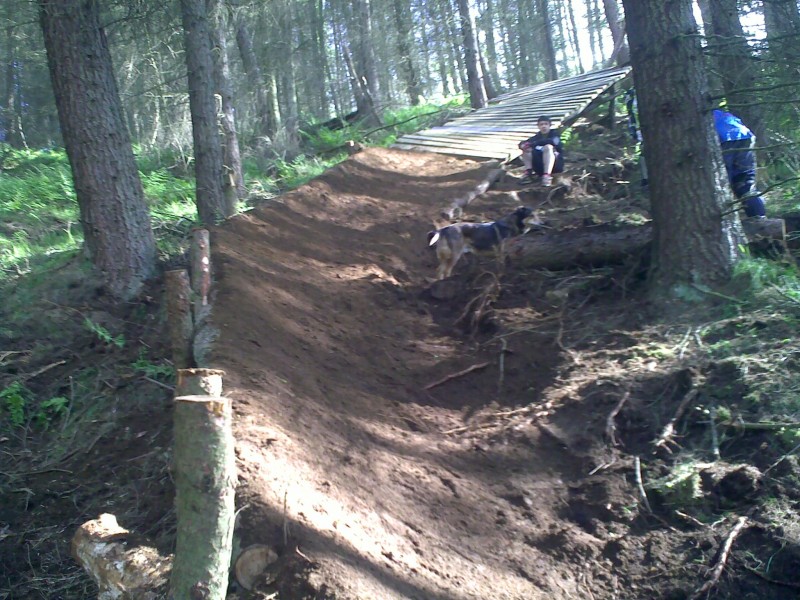 The Sick Line Mountain Biking Trail - Wishaw