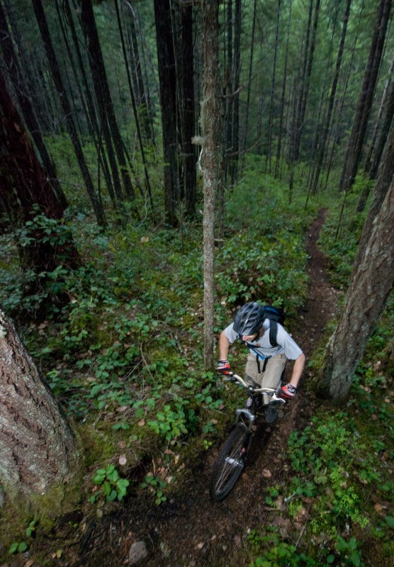 Bee Line Mountain Biking Trail - Doumont, Nanaimo, BC