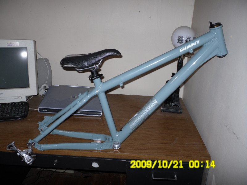 giant stp frame 225 obo For Sale