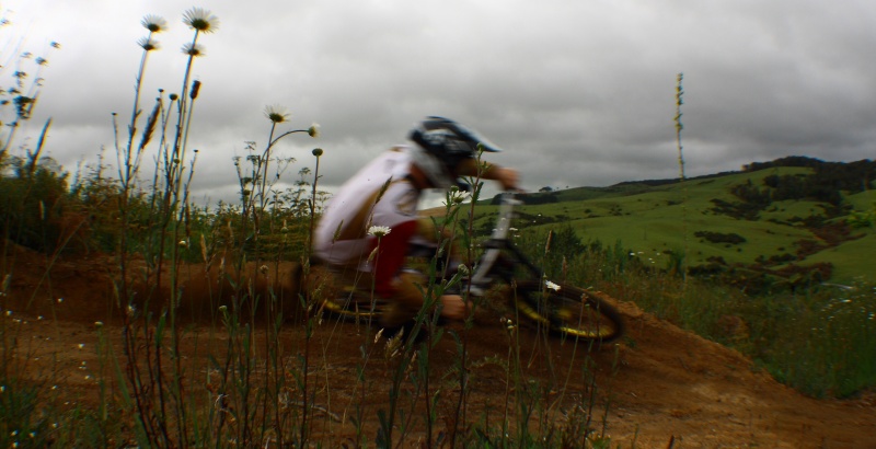 Miro Mountain Biking Trail - Hamilton | Trailforks