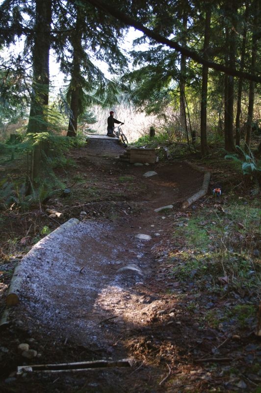 Backyard Trail Mountain Biking Trail - Port Moody, BC