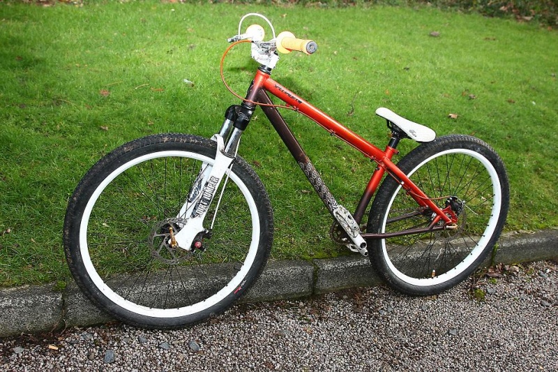 2014 Specialized P1 Custom Dirt Jump Bike For Sale