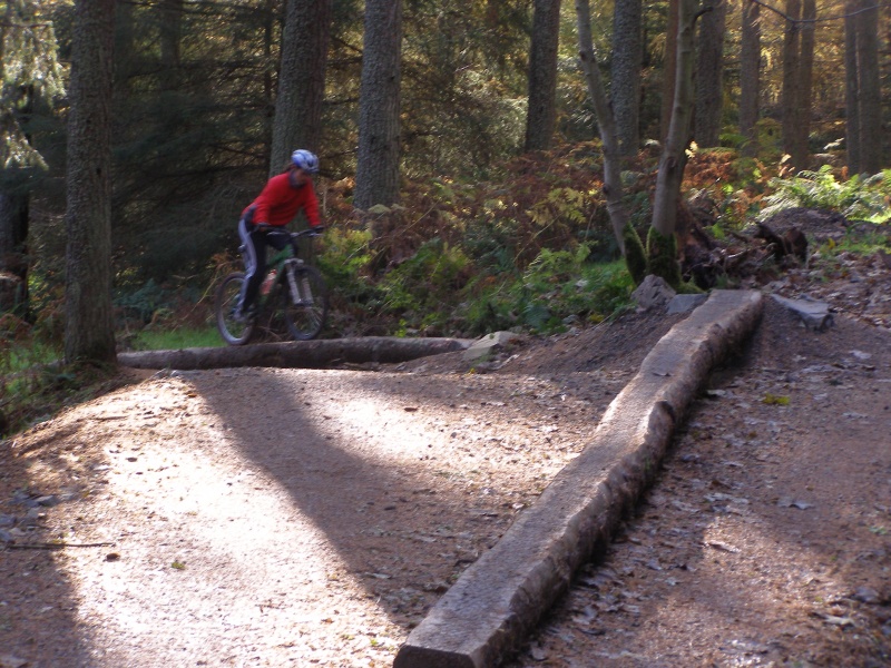 Red Trail Mountain Biking Trail - Thornhill | Trailforks