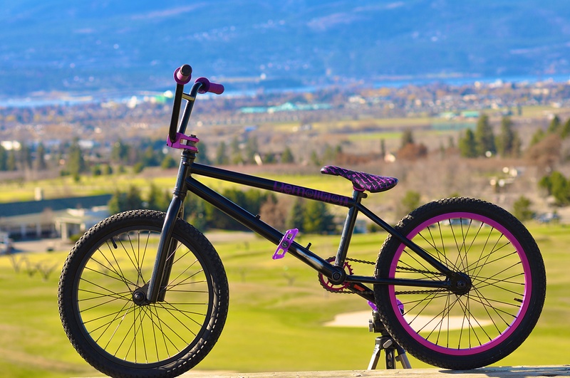 Custom BMX w/ DK-Step Up Frame and Freecoaster For Sale