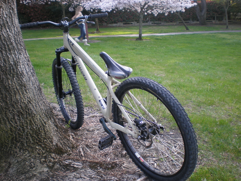2010 Completely Custom Specialized P1 For Sale