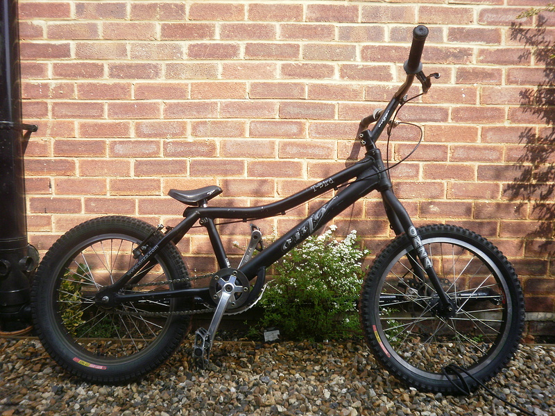 onza t bird For Sale