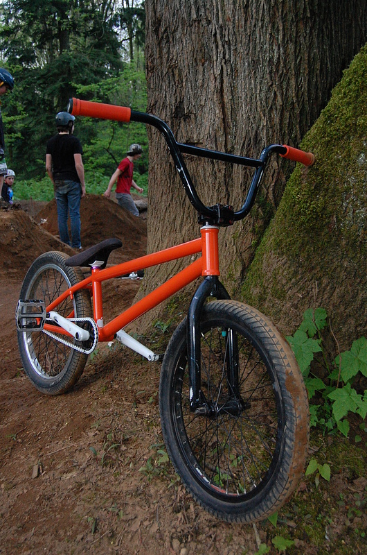 Post your CUSTOM bmx ! - Pinkbike Forum