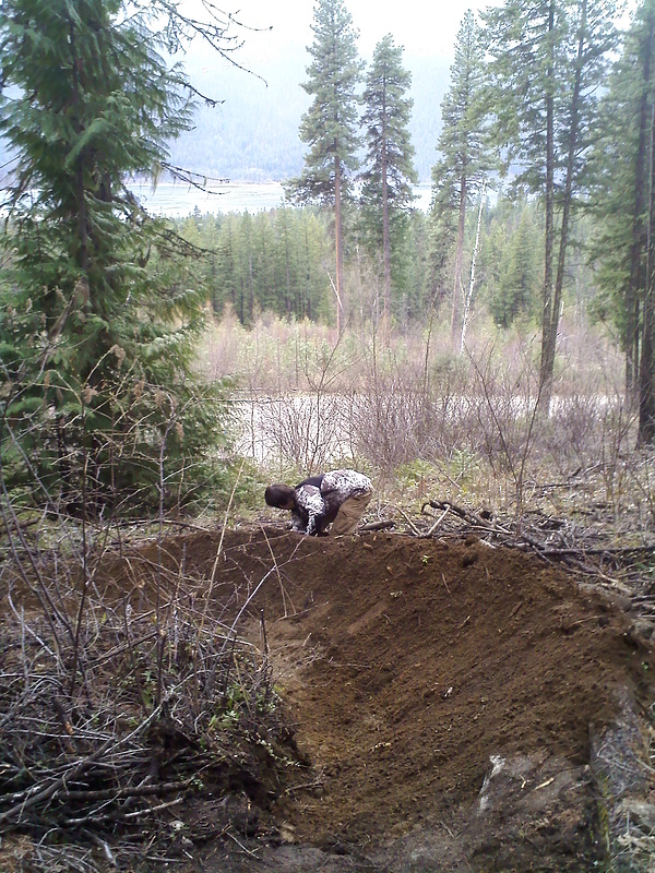 Glade Runner Mountain Biking Trail - Nelson, BC