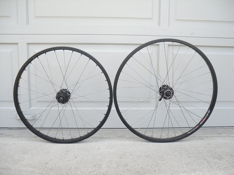 alex rim dm 24 For Sale